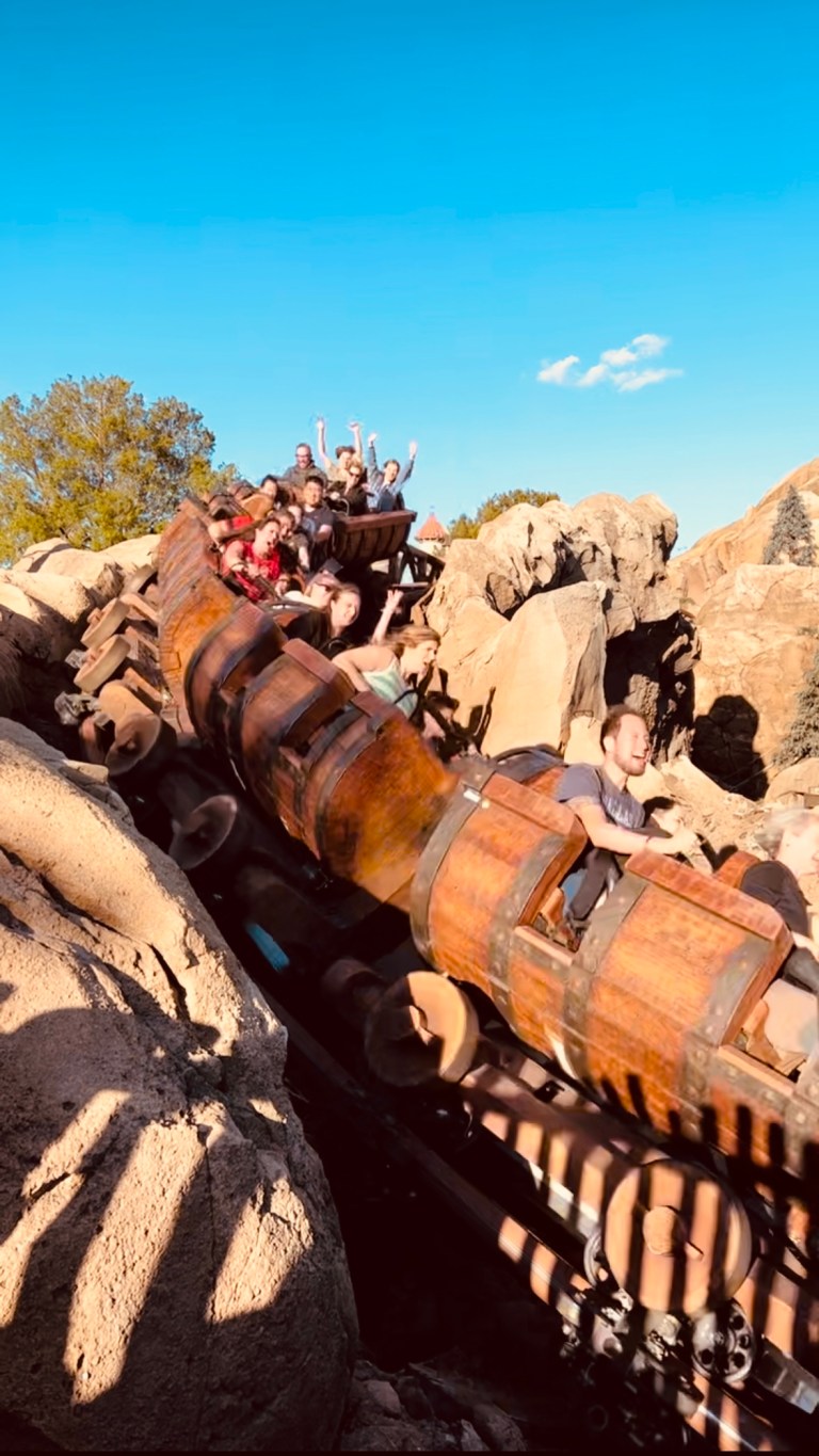 Tips for Disney World When It’s Very Busy – making magic vibes