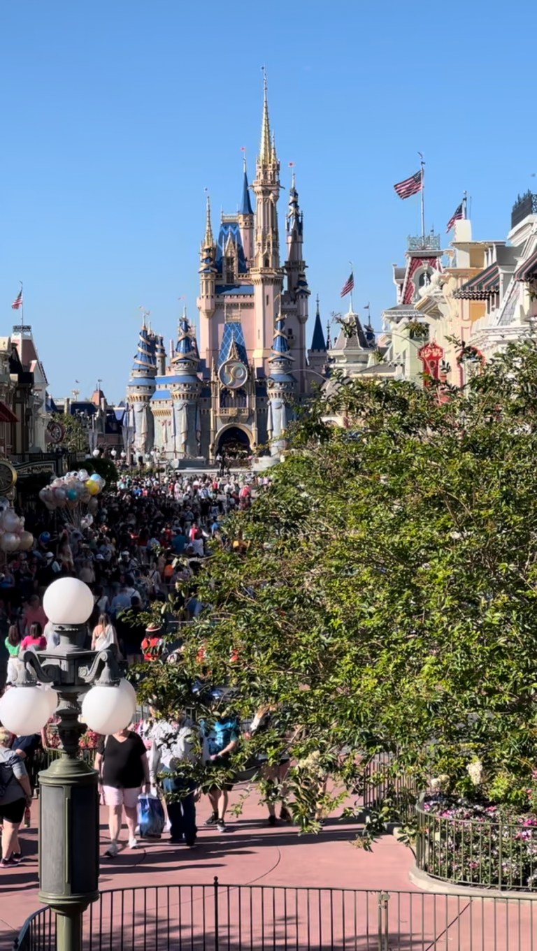 Tips for Disney World When It’s Very Busy – making magic vibes