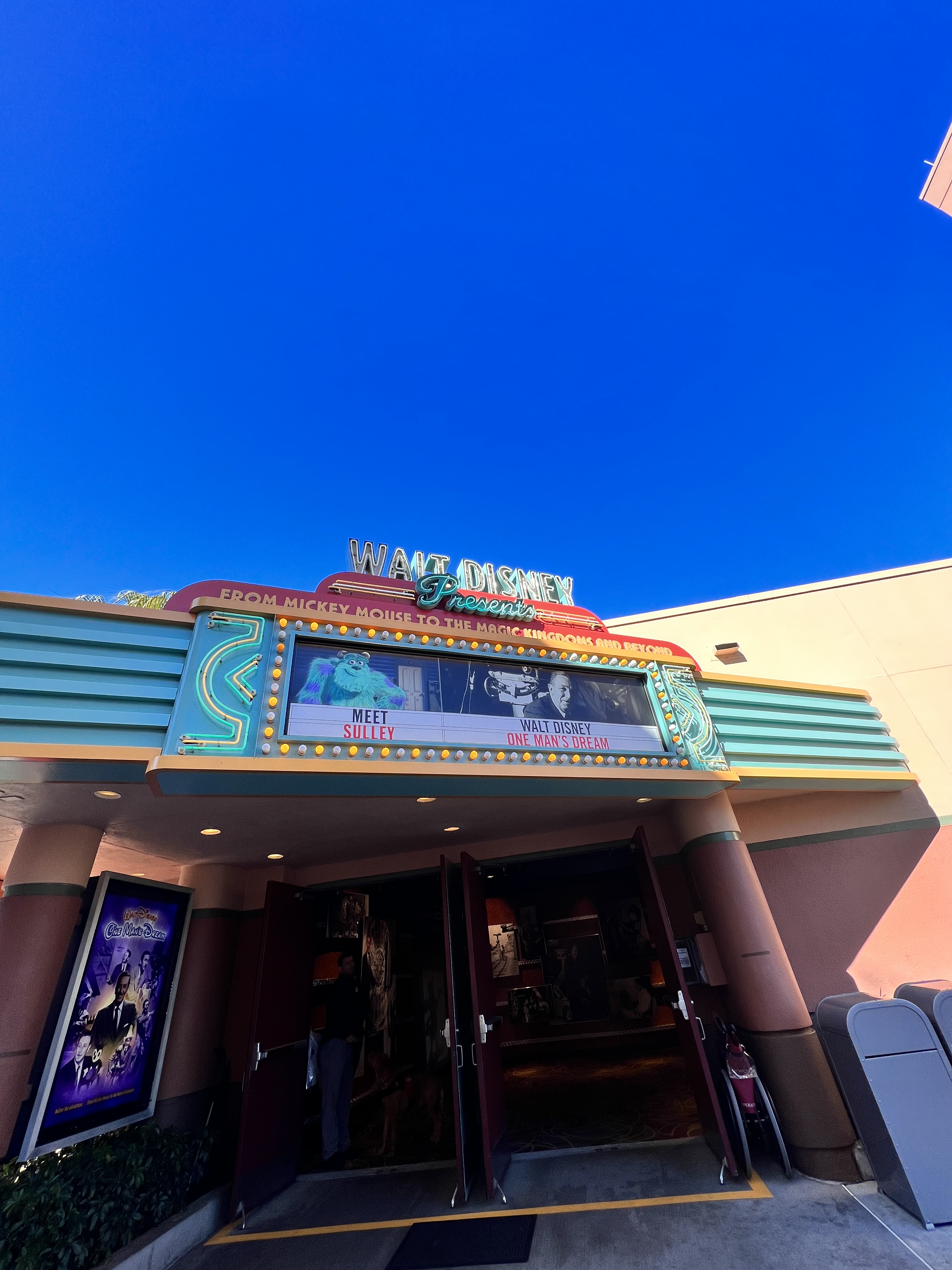 Tips for Disney World When It’s Very Busy – making magic vibes